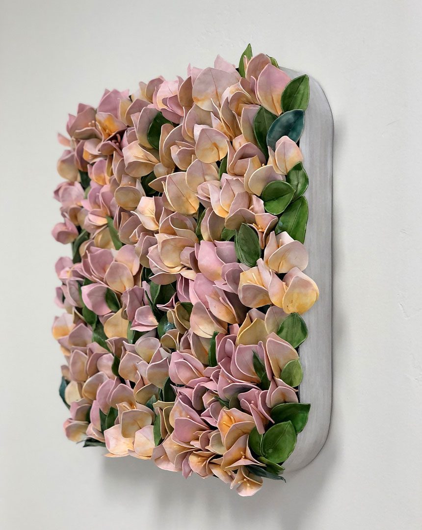 Bougainvillea - Carlie Stracka